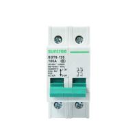 China Single Phase TUV AC CE 2 Pole MCB Circuit Breakers for sale