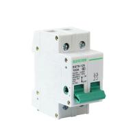 China Single Phase TUV AC CE 2 Pole MCB Circuit Breakers for sale