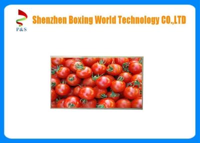 China LVDS Interface TFT LCD Screen , 12.1'' Tft Display Module 1024x768 600 Nits Brightness for sale