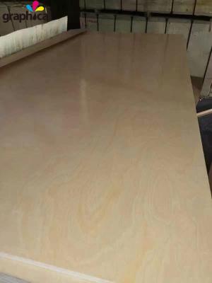 Cina 12mm 15mm 18mm Birch Laser Cut Plywood Legno Board per Die Making Face Grade No decay in vendita