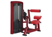 China OEM Back Extension Gym Machine with 150kg Weight Stack for Commercial Fitness for sale