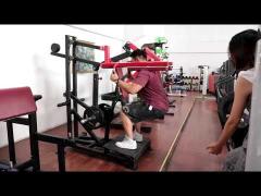 Máquina da ocupa da força do martelo do equipamento do Gym da categoria comercial da armação de aço