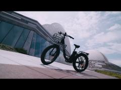 ridstar-electric bike for man