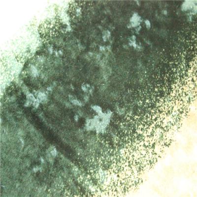 Cina Il crêpe 100% del tessuto del vello del poliestere ha stampato il tessuto 250gsm~350gsm del velluto in vendita