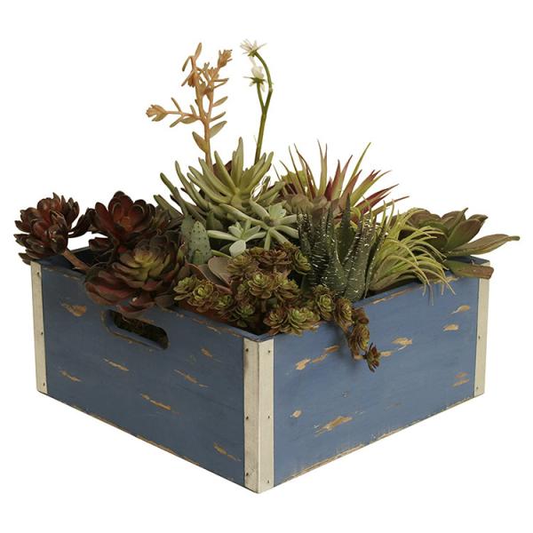 Quality Europe Regional Feature Custom Pine Wood Gift Box Wine Crates for Free Sample Storage for sale