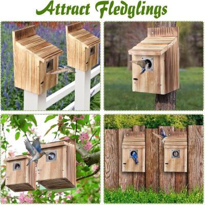 China Gepersonaliseerd logo Acceptabel 2 Pack Cedar Bluebird Box Huizen voor buiten Te koop