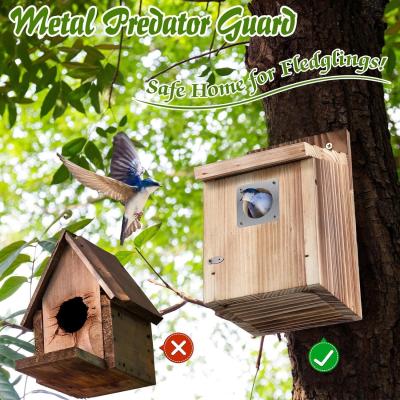 China Gepersonaliseerd logo Acceptabel 2 Pack Cedar Bluebird Box Huizen voor buiten Te koop