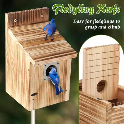 China Gepersonaliseerd logo Acceptabel 2 Pack Cedar Bluebird Box Huizen voor buiten Te koop
