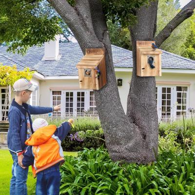 China Gepersonaliseerd logo Acceptabel 2 Pack Cedar Bluebird Box Huizen voor buiten Te koop