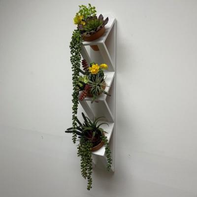 Cina Succulente o orto di erbe Piantatore a parete di legno in bianco con logo personalizzato accettabile in vendita