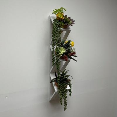 Cina Succulente o orto di erbe Piantatore a parete di legno in bianco con logo personalizzato accettabile in vendita