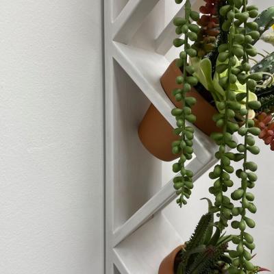 Cina Succulente o orto di erbe Piantatore a parete di legno in bianco con logo personalizzato accettabile in vendita