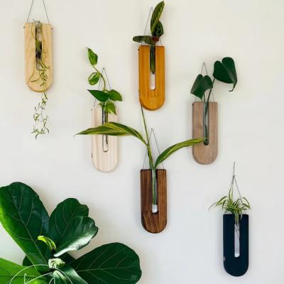 Cina Stazione di propagazione in stile di design moderno per piantatrici a parete di legno e decorazioni domestiche in vendita