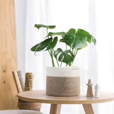 China Keep Your Home Organized Round Foldable Cotton Rope Storage Basket for Various Items for sale