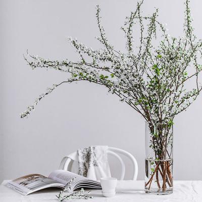 Cina Stile di design contemporaneo Elegante Vaso di vetro rotondo trasparente per la decorazione domestica in vendita