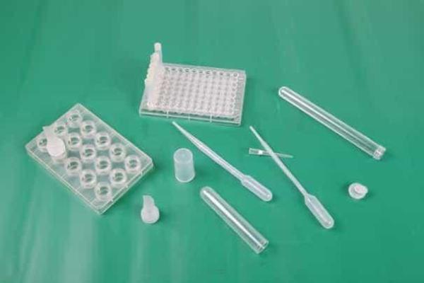 Quality Other mold for sale