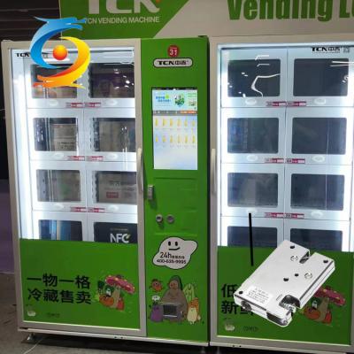 Cina 8V Mini Electric Solenoid Lock Anti arrugginiscono altezza su misura del fermo in vendita