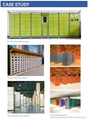 Cina Serratura elettronica a solenoide personalizzata di alta sicurezza per armadietti dei supermercati in vendita