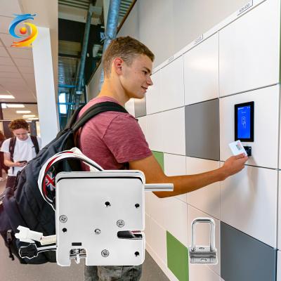 Cina Serratura elettronica a solenoide a prestazioni migliorate 65 mm x 70 mm x 13 mm per armadietto di stoccaggio in vendita