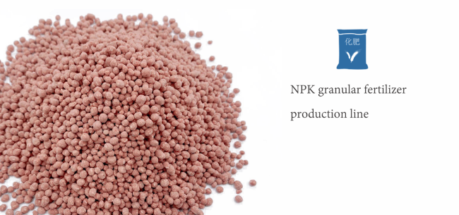 Double roller extrusion granulator production line overview