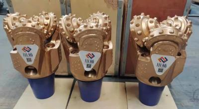 Cina Il carburo di tungsteno triconico a 7 pollici del rullo inserisce la formazione semidura pungente in vendita