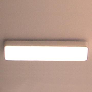 China 6500lm 1200mm X 300mm Led Panel Led Rectangular 120 X 30 Customized for sale