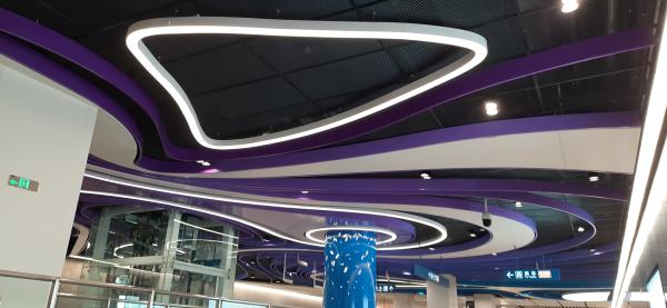 Tipo di figura irregolare LED Ring Ceiling Lights 260W Circolo LED Hanging Light