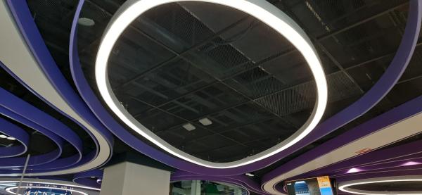 Tipo di figura irregolare LED Ring Ceiling Lights 260W Circolo LED Hanging Light