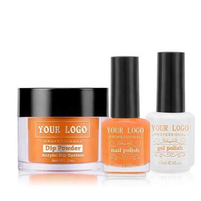 China OEM Custom Private Label 3 in 1 Bulk Nail Dip Dipping Acrylic Powder Color Matching Gel Polish Kit and Nail Lacquer Set for sale