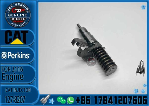 Quality Common Fuel Injector 3114 127-8207 127-8218 127-8222 107-7732 102-7038 140-8413 for sale