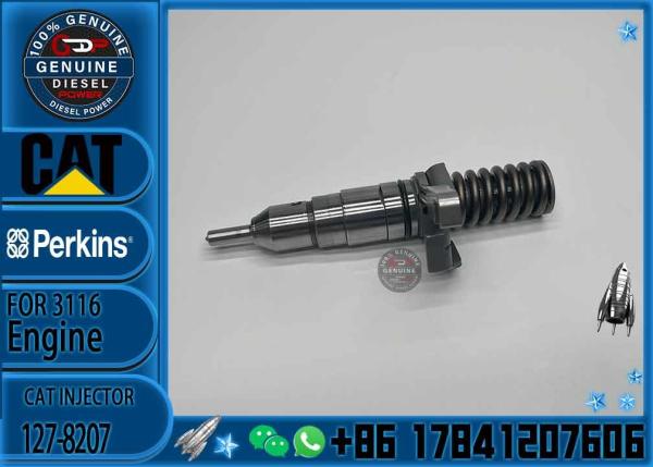 Quality Common Fuel Injector 3114 127-8207 127-8218 127-8222 107-7732 102-7038 140-8413 for sale