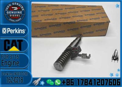 중국 뜨거운 1620218은 좋은 가격 커먼 레일 인젝터 162-0218을 애벌레 3114 3116에 팝니다 판매용