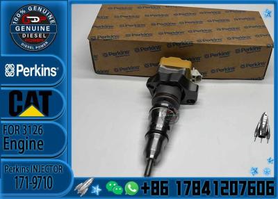 China Injetor 222-5965 10R-9348 171-9710 do motor diesel para o trilho comum 177-4754 178-0199 da lagarta 3126B/3126E à venda