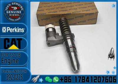 China Inyector de combustible 250-1302 392-0224 en venta