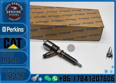China Inyector de combustible de motor diésel 282-0490 2645A709 para excavadoras 321D motor diésel C6.6 C6.4 C4.2 inyector en venta