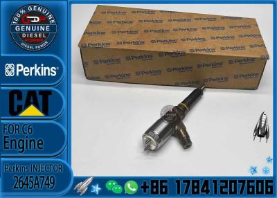 China 326 4700 Combustible de ferrocarril común 2645a749 Excavadora 236-0962 2360962 10r7224 10r-7224 1888739 188-8739 E330c Motor Fue Injecto en venta