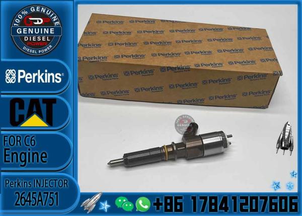 Quality High Quality Professional Densos Gasoline Car Fuel Common Rail Diesel Electric Fuel Injector Assy 2645A751 2645A746 2645 for sale
