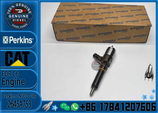 Quality Diesel Common Rail Injector 321-3600 10R-7938 2645A753 FOR Engine C6.6 312D for sale