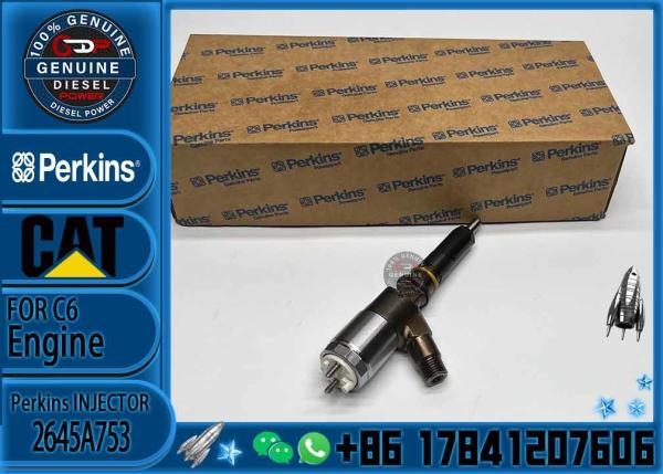 Quality Diesel Common Rail Injector 321-3600 10R-7938 2645A753 FOR Engine C6.6 312D for sale
