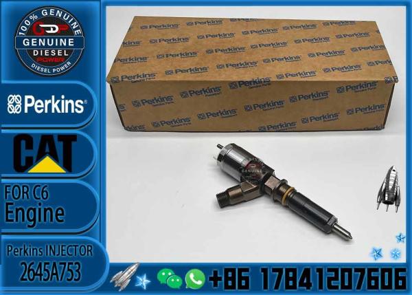 Quality Diesel Common Rail Injector 321-3600 10R-7938 2645A753 FOR Engine C6.6 312D for sale