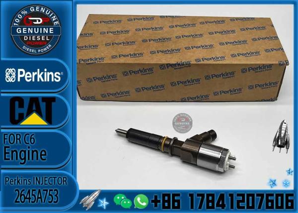 Quality Diesel Common Rail Injector 321-3600 10R-7938 2645A753 FOR Engine C6.6 312D for sale