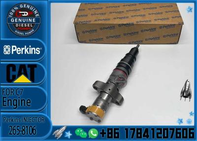 China Inyector de combustible para motor 241-3238 241-3239 263-8218 268-1835 387-9431 387-9432 387-9436 387-9433 387-9434 293-4073 328-2580 en venta
