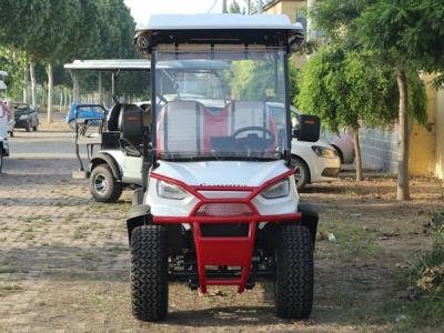 Cina Carrozze da golf su misura Batteria al piombo acido Operato fuori strada Strada legale elettrica in vendita