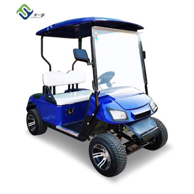 China Customized Blue Electric LSV Lithium Ion Golf Cart 2 Passenger for sale