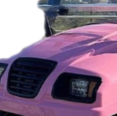 Cina Rosa 2-4 Passeggeri Aetric EV Golf Cart 25 Mph-40 Mph con parabrezza pieghevole in vendita