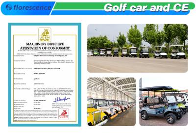China Buggy Off Road 4 Wheel Electric Golf Cart 2+2 Seater Car 4 Passengers Cusp Battery for sale