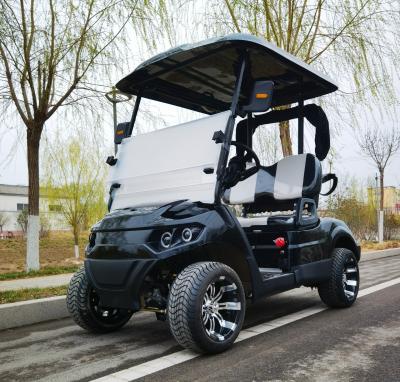 China Long Range 3500W 60V 100AH Lead Batteries 2 Seater Golf Cart 12 Inch Off Road Tire Ev Golf Cart for sale