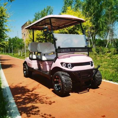 Cina 4 Seater Electric Golf Cart Pink Outdoor Theme Park New Design Off-road Manufacturer Wholesale in vendita
