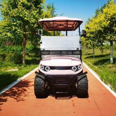 Cina 4 Seater Electric Golf Cart Pink Outdoor Theme Park New Design Off-road Manufacturer Wholesale in vendita