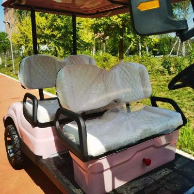 Cina 4 Seater Electric Golf Cart Pink Outdoor Theme Park New Design Off-road Manufacturer Wholesale in vendita